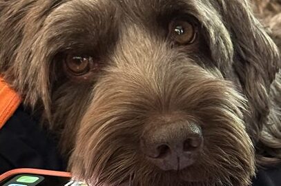 How long is 100 milliseconds and why is that important? - Linda Kazares ...